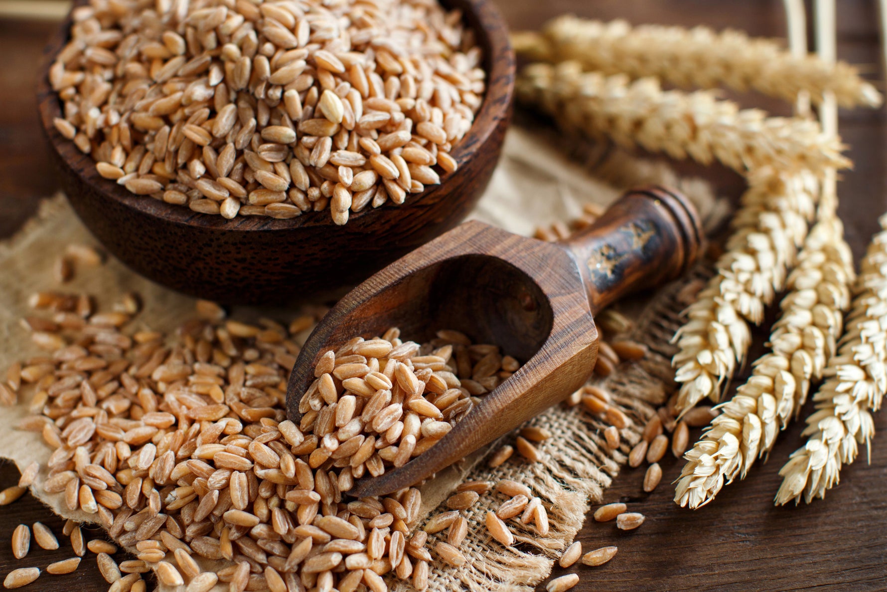 A&B GRAINMILLS & ORGANICS – A&B Grainmills & Organics